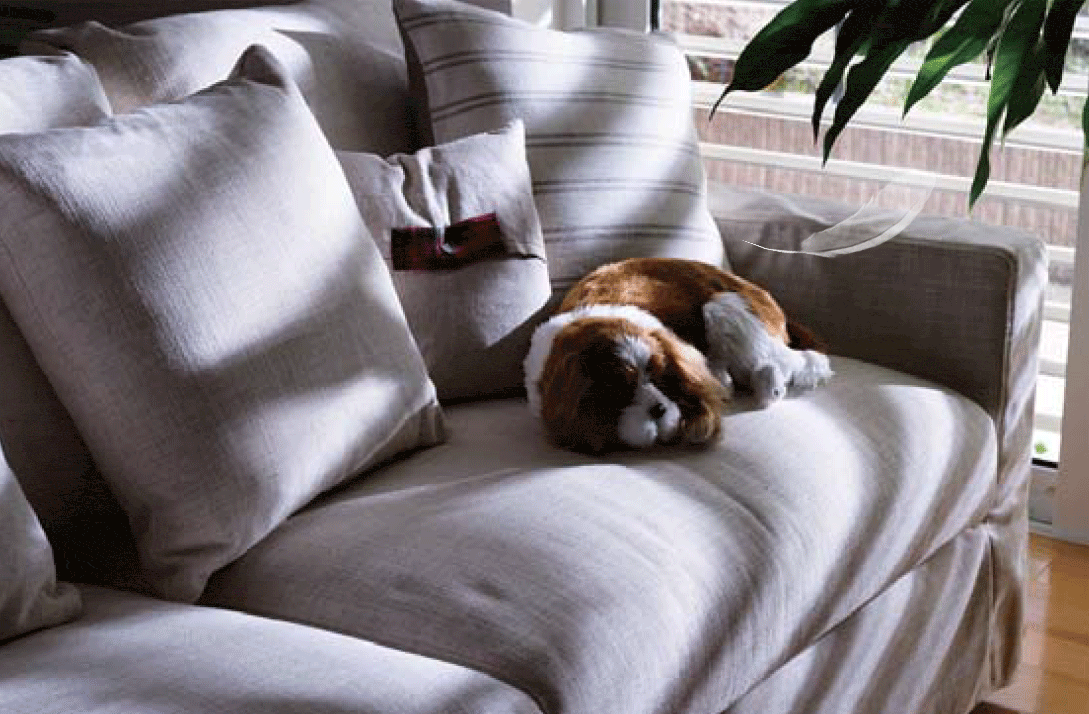 皮特里鋁百葉窗 - Poll-tex普特絲